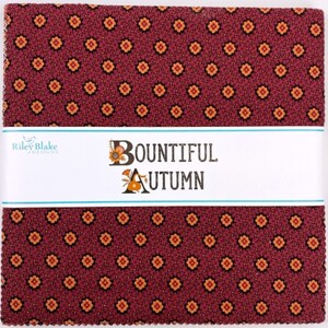 Riley Blake Bountiful Autumn 10 Inch Stacker by Stacy West 42 Pcs - Etsy