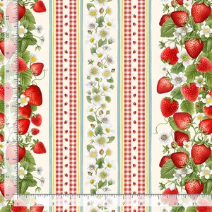 Berry Sweet by Timeless Treasures - Sweet Berry 11" Stripe - Cream ...