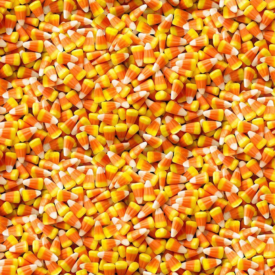Packed Candy Corns - Corn - Gnomebody's Scared From Timeless Treasures ...