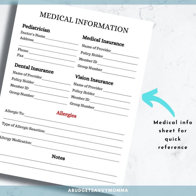 Custody Organizer Custody Planner Custody Agreement - Etsy