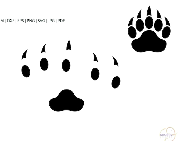 Polar Bear Paw Print Actual Size