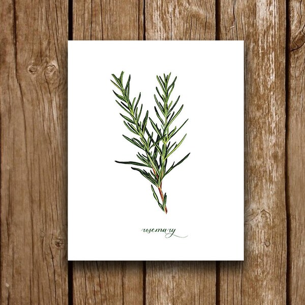 Rosemary Print - Etsy