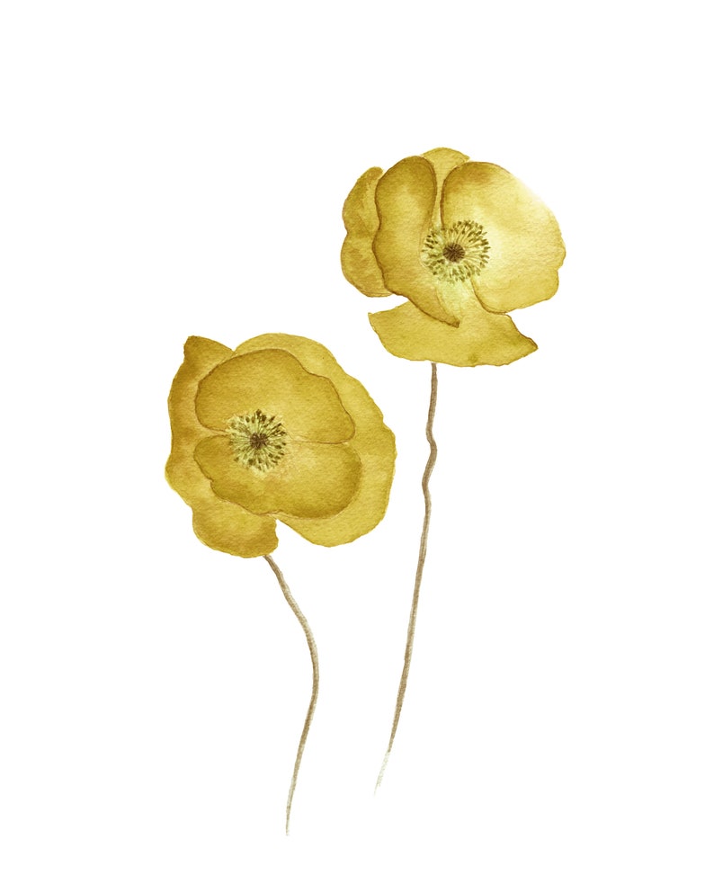 Yellow Poppies Set 2 Giclee Prints Yellow Flowers, Minimalist Art ...