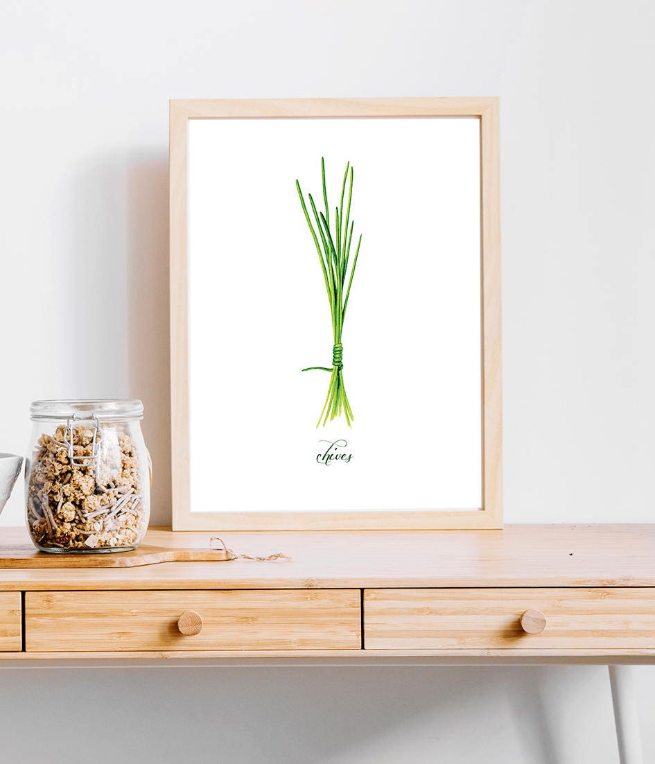 Chives Kitchen Herbs Watercolor Illustration Art Print Instant Download ...