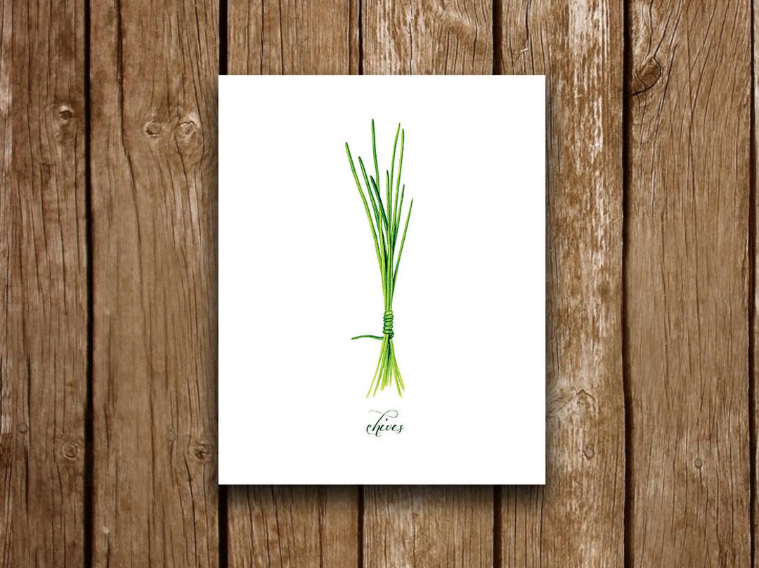 Chives Kitchen Herbs Watercolor Illustration Art Print Instant Download ...
