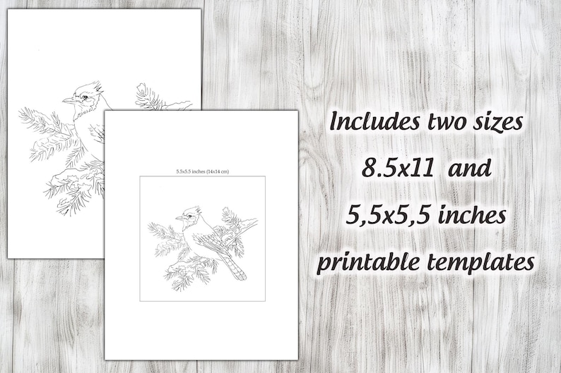 Winter Blue Jay Painting Template | Watercolor Bird Tutorial ...