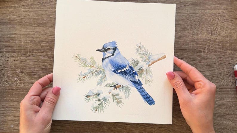 Winter Blue Jay Painting Template | Watercolor Bird Tutorial ...