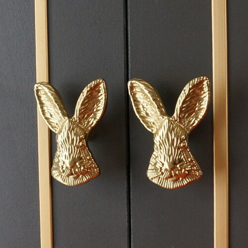 Solid Brass Gecko Knobs Drawer Knobs Pulls Kitchen Cabinet - Etsy