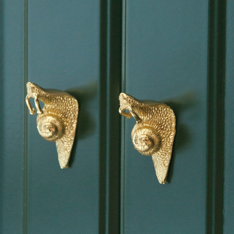 Solid Brass Snails Knobs Drawer Knobs Pulls Kitchen Cabinet - Etsy