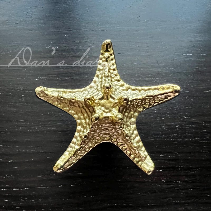 Starfish Knobs - Etsy