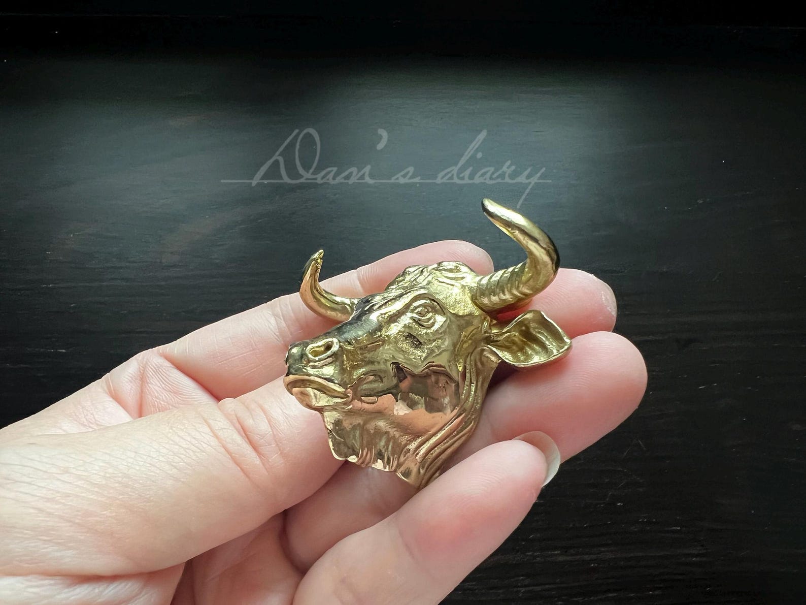 Brass Bull Head Knob: Modern Gold Decor, Drawer Pull - Etsy