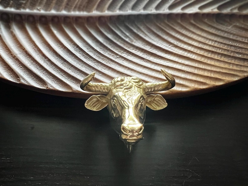 Brass Bull Head Knob: Modern Gold Decor, Drawer Pull - Etsy