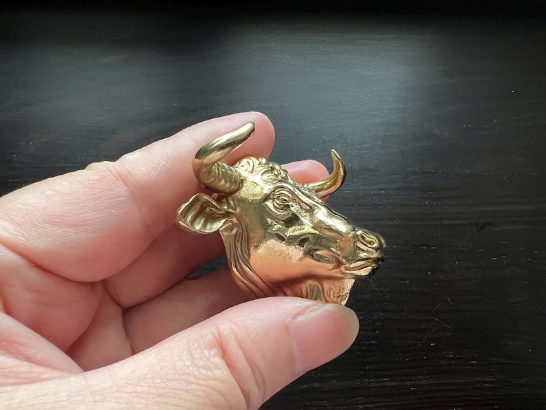 Brass Bull Head Knob: Modern Gold Decor, Drawer Pull - Etsy