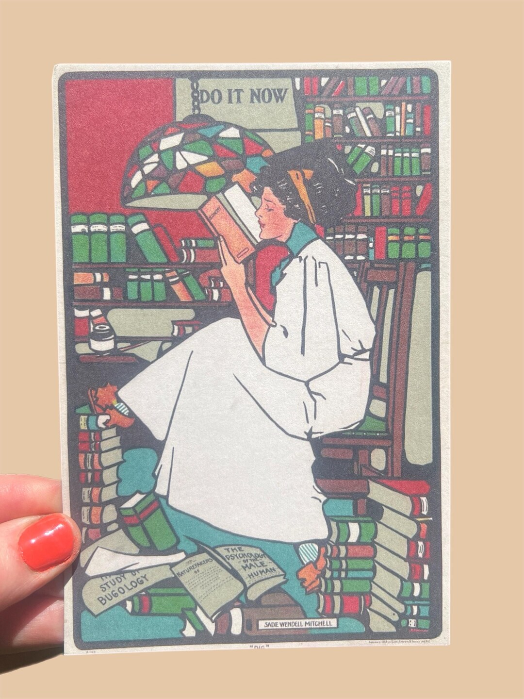 POSTCARD Belle of the Library...reading...books...literature...studying ...