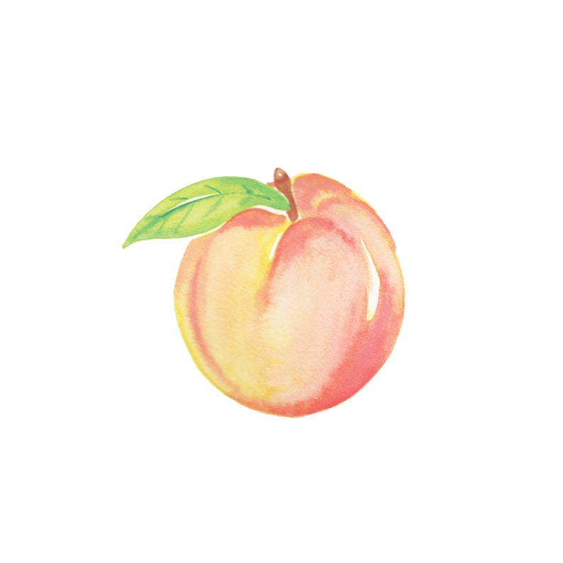 Watercolor Peach Print Set: Summer Kitchen Wall Decor (digital Download ...