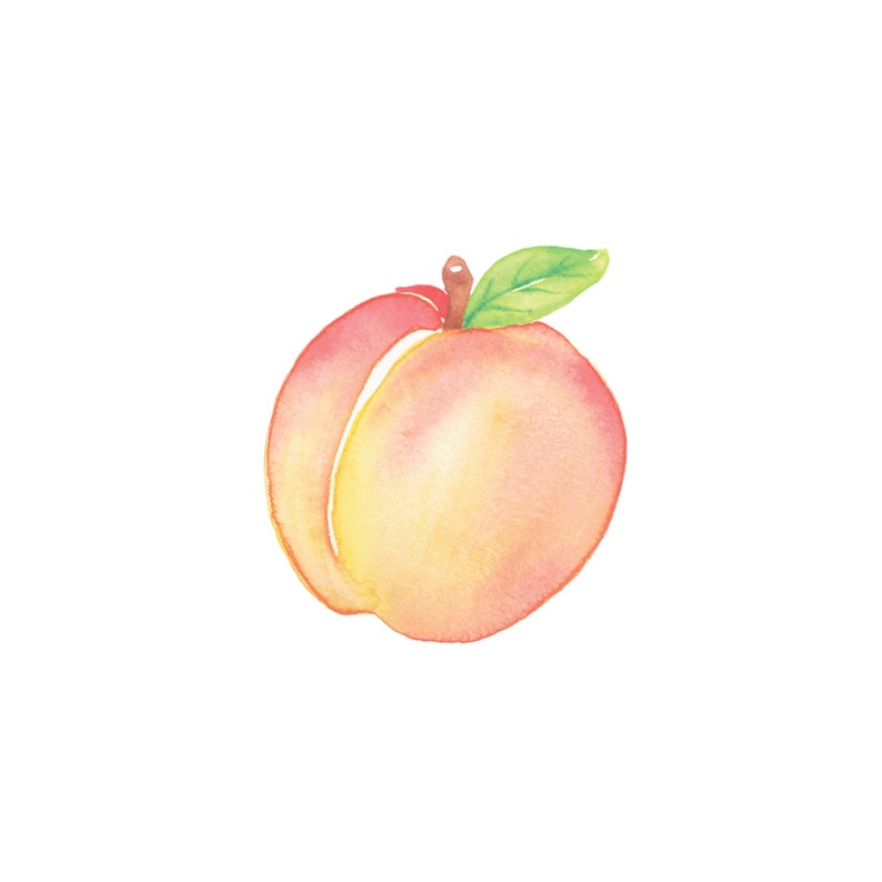 Watercolor Peach Print Set: Summer Kitchen Wall Decor (digital Download ...