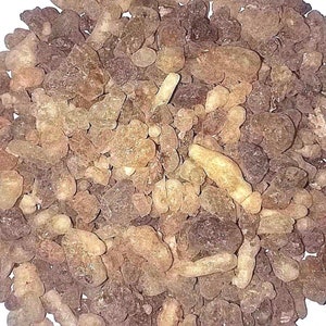 Frankincense Resin Boswellia Sacra / Carterii Tree Sap Olibanum Tree ...