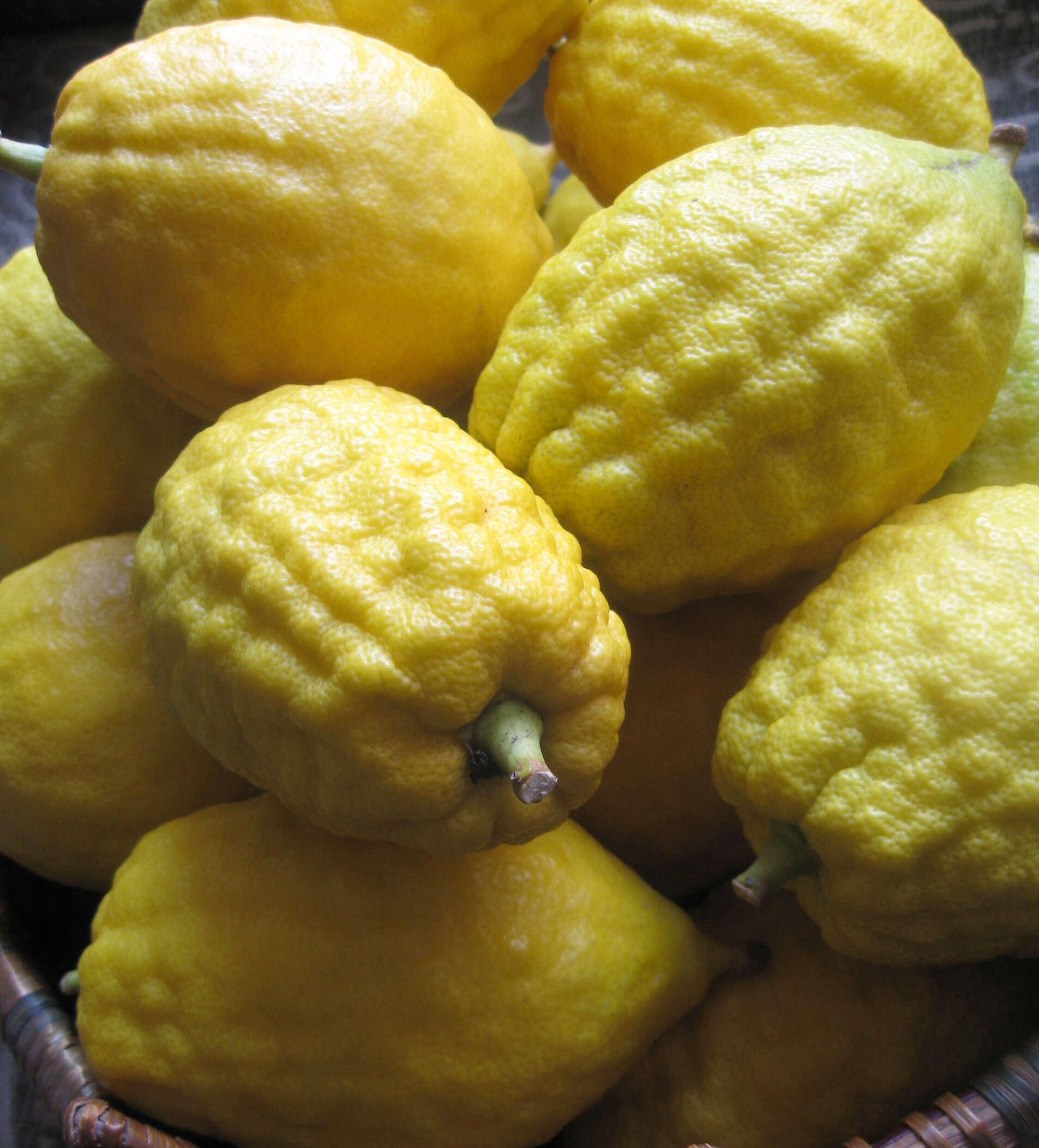 10 Citron Seeds Citrus Medica Fragrant Flowering Evergreen - Etsy