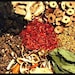 Frankincense Resin Boswellia Sacra / Carterii Tree Sap Olibanum Tree ...