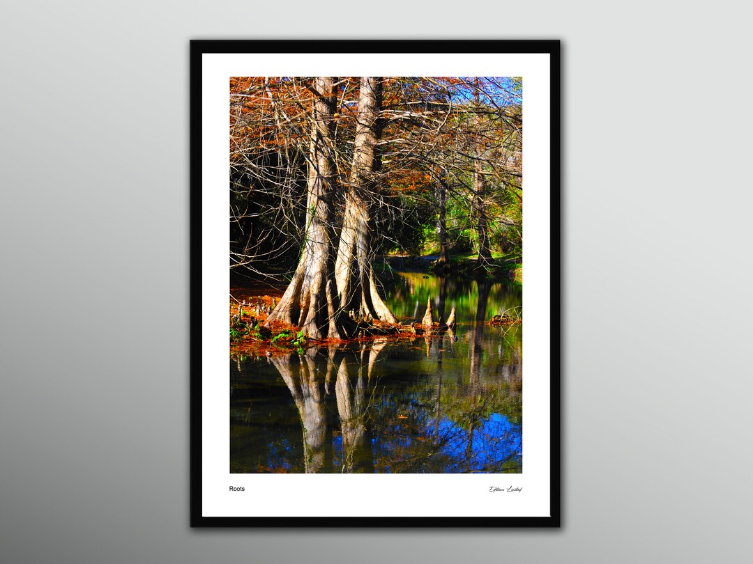 Color Photography Landscape Poster, Tree Print, Fine Art Print ...