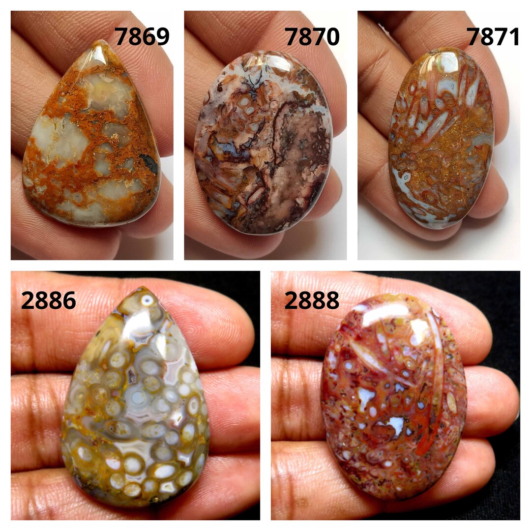 Aaatop Quality Natural PLUM AGATE Gemstone, Designer Palm Root Agate ...