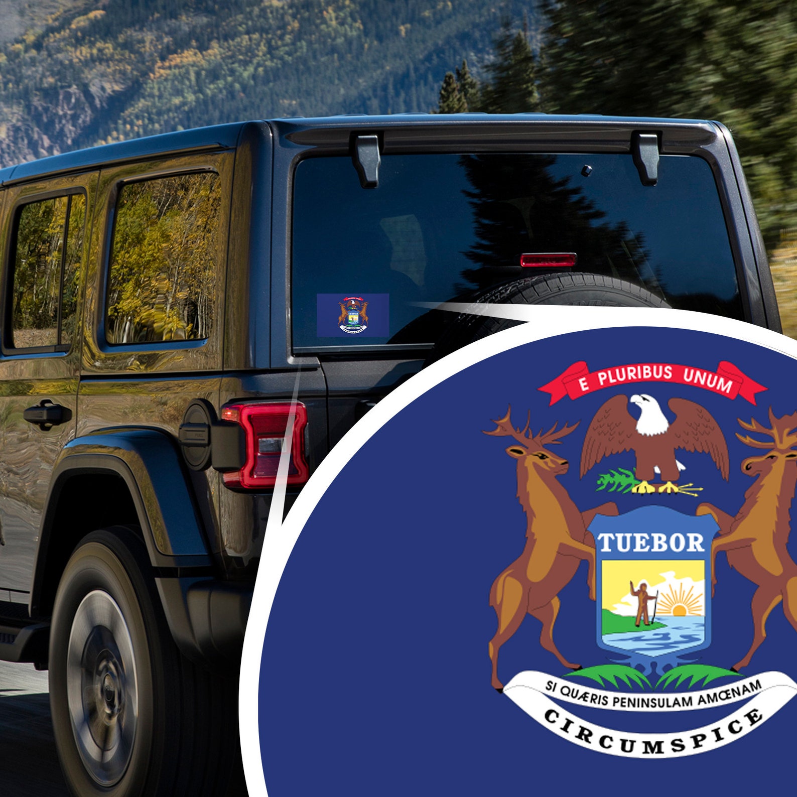 Michigan State Flag Decal Stickers Official Flag of Michigan - Etsy