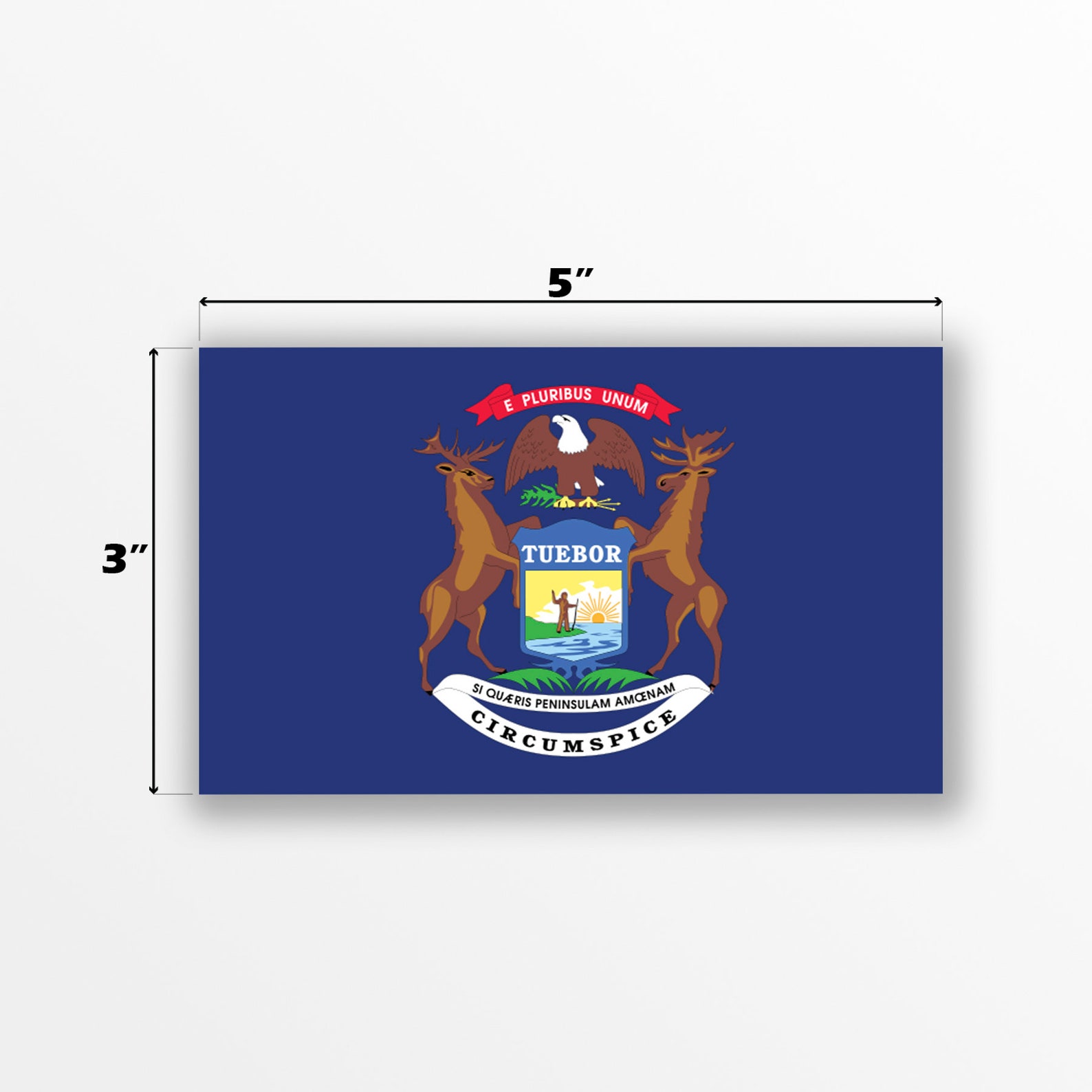Michigan State Flag Decal Stickers Official Flag of Michigan - Etsy