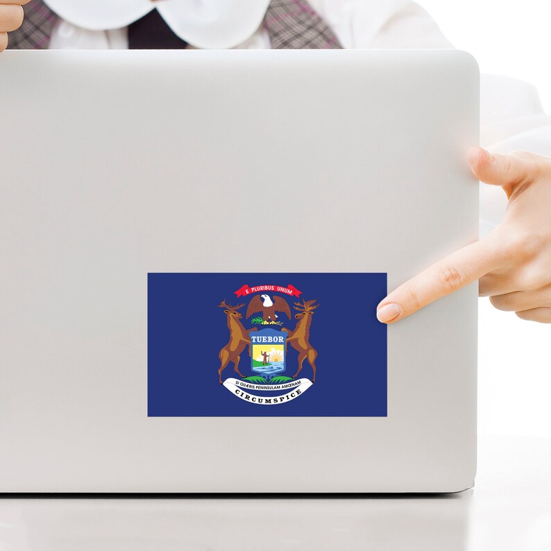 Michigan State Flag Decal Stickers Official Flag of Michigan - Etsy