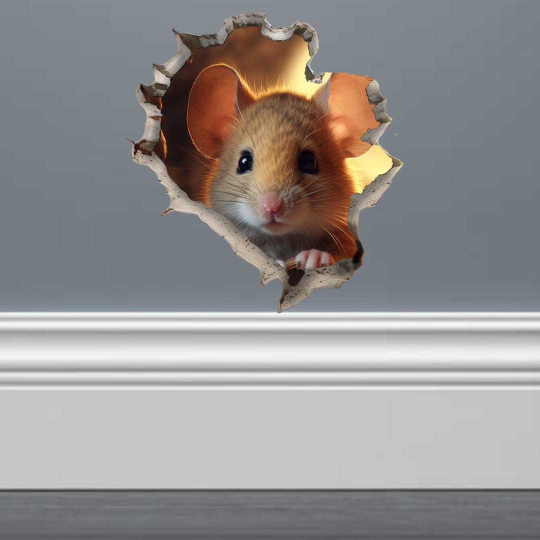 Mouse Hole Vinyl Wall Decal, 3D Reading Mouse Sticker, 2-pack - Etsy