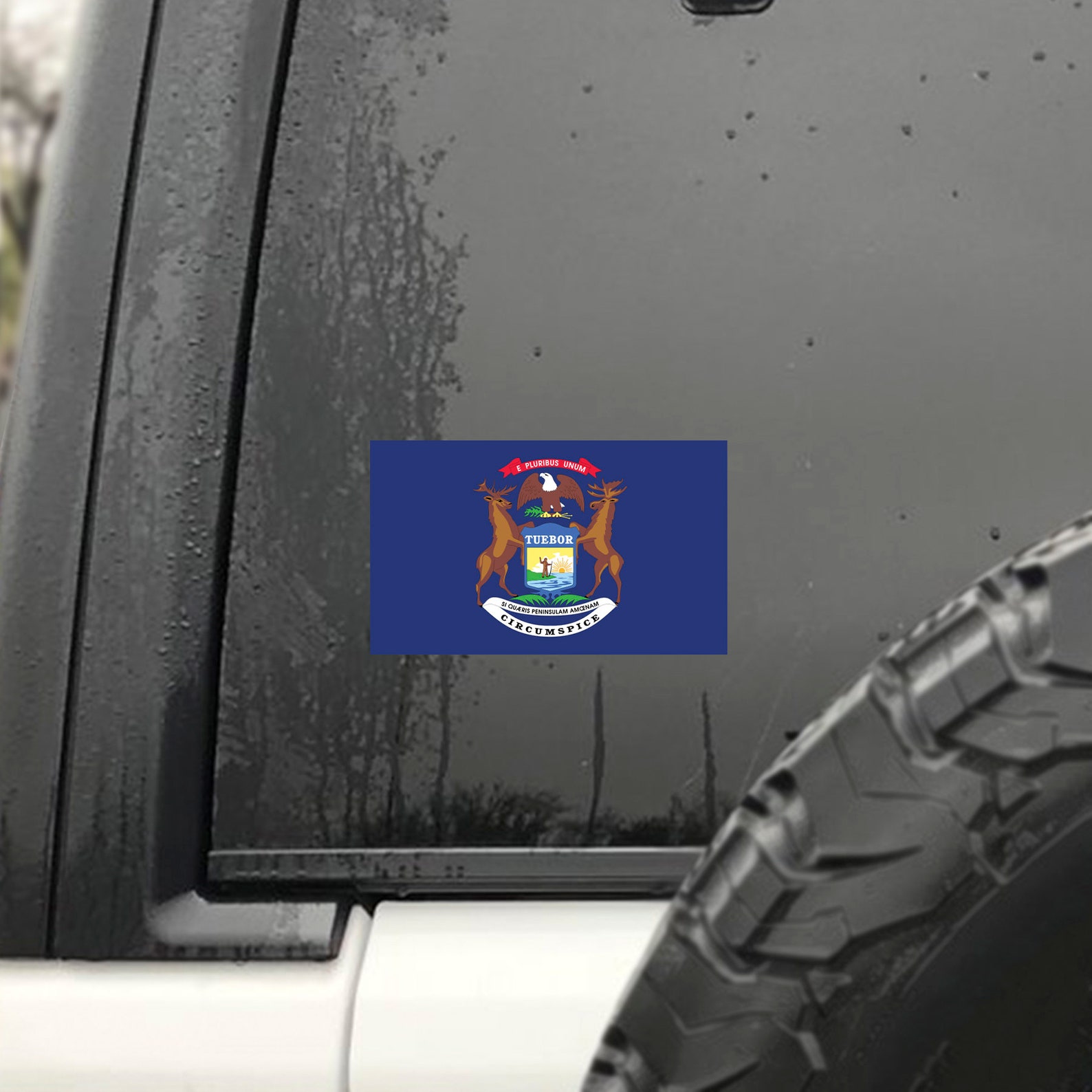 Michigan State Flag Decal Stickers Official Flag of Michigan - Etsy