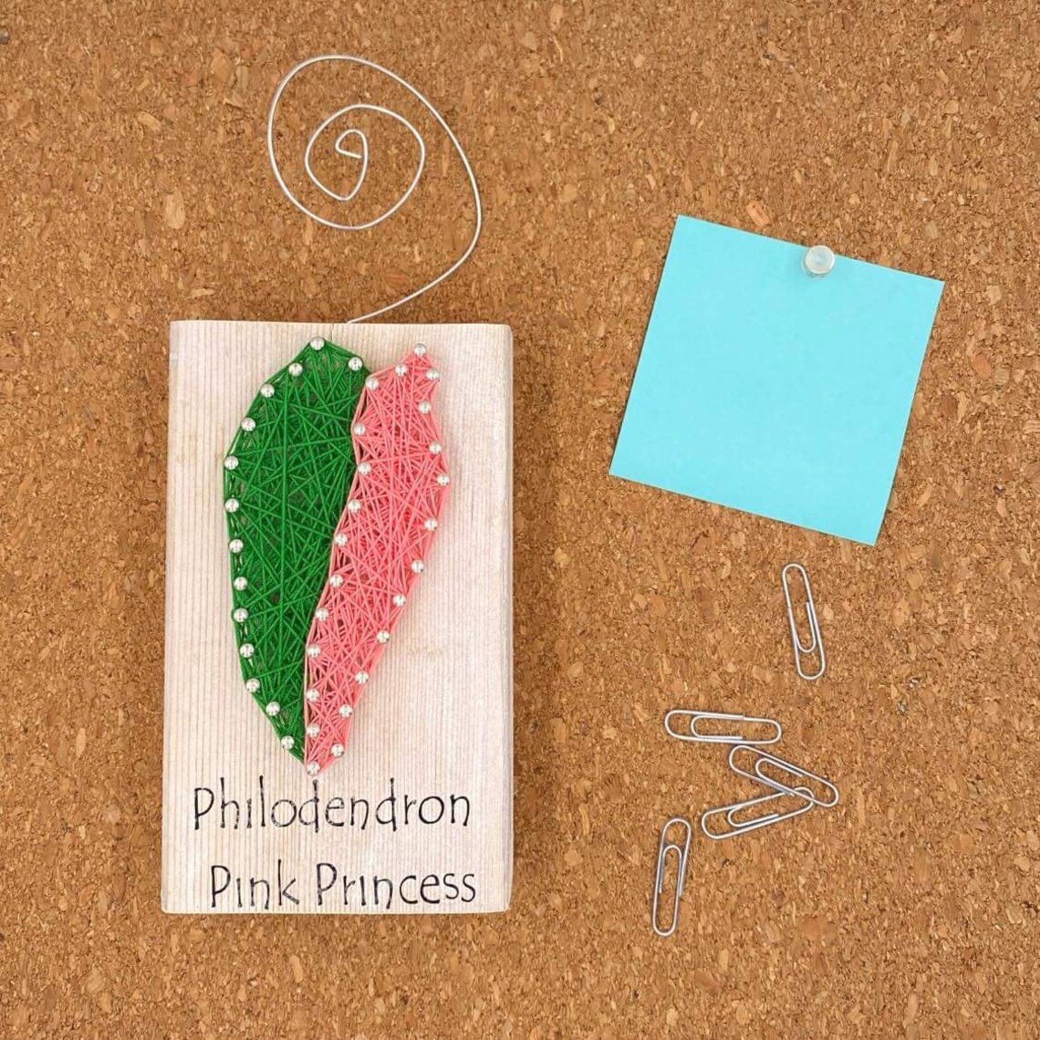 Philodendron Pink Princess String Art Home Office Desk Decor - Etsy