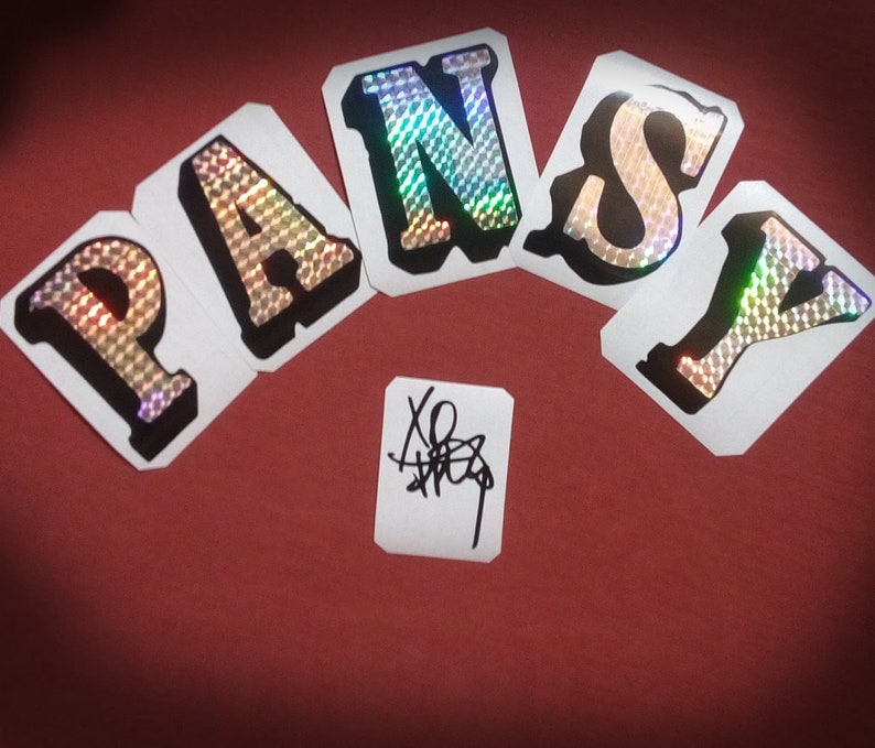PANSY Guitar Stickers Frank Iero Gibson My Chemical Romance + Autograph ...