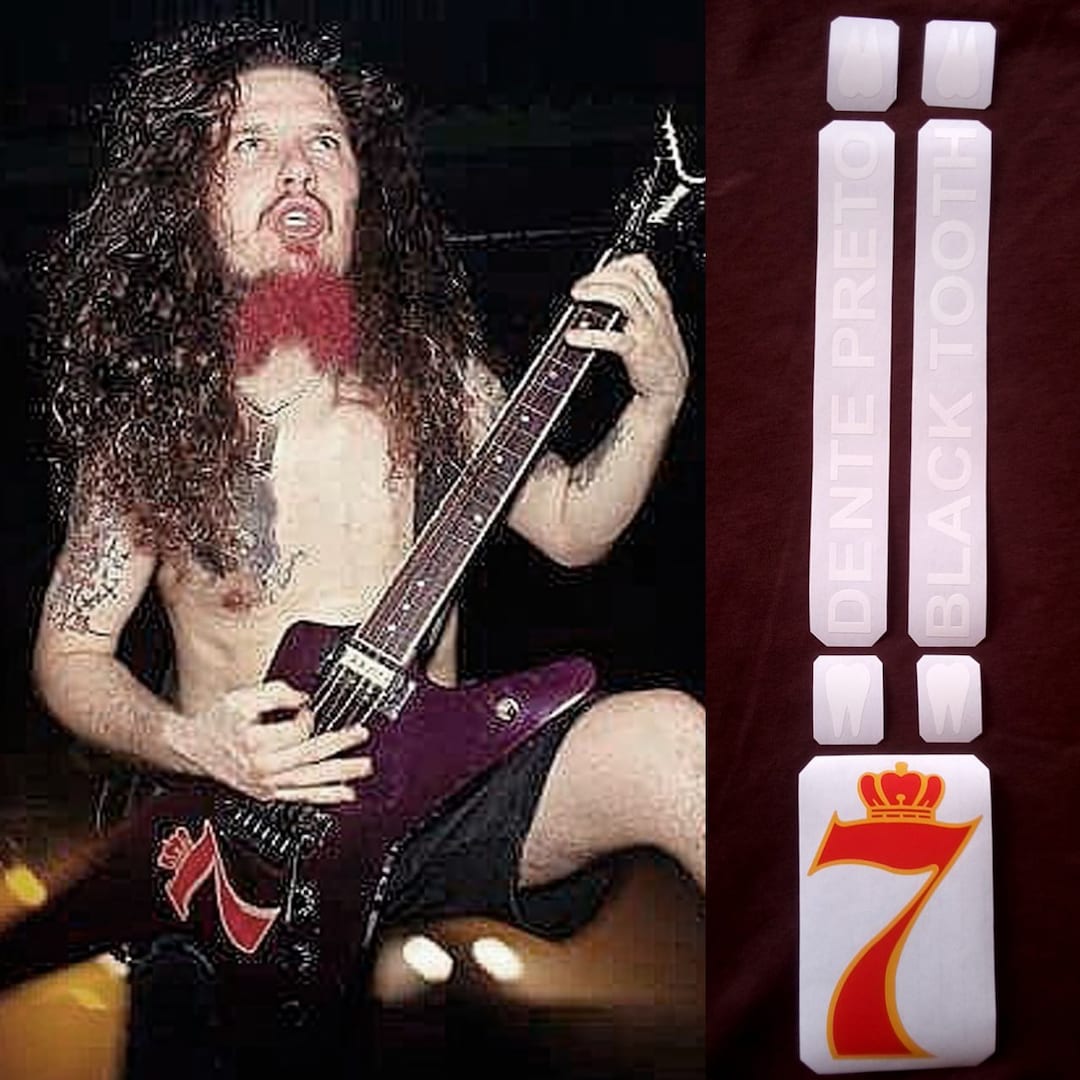 Dimebag Darrell Guitar Stickers Washburn Dime Vinyl Decal Seven Black ...