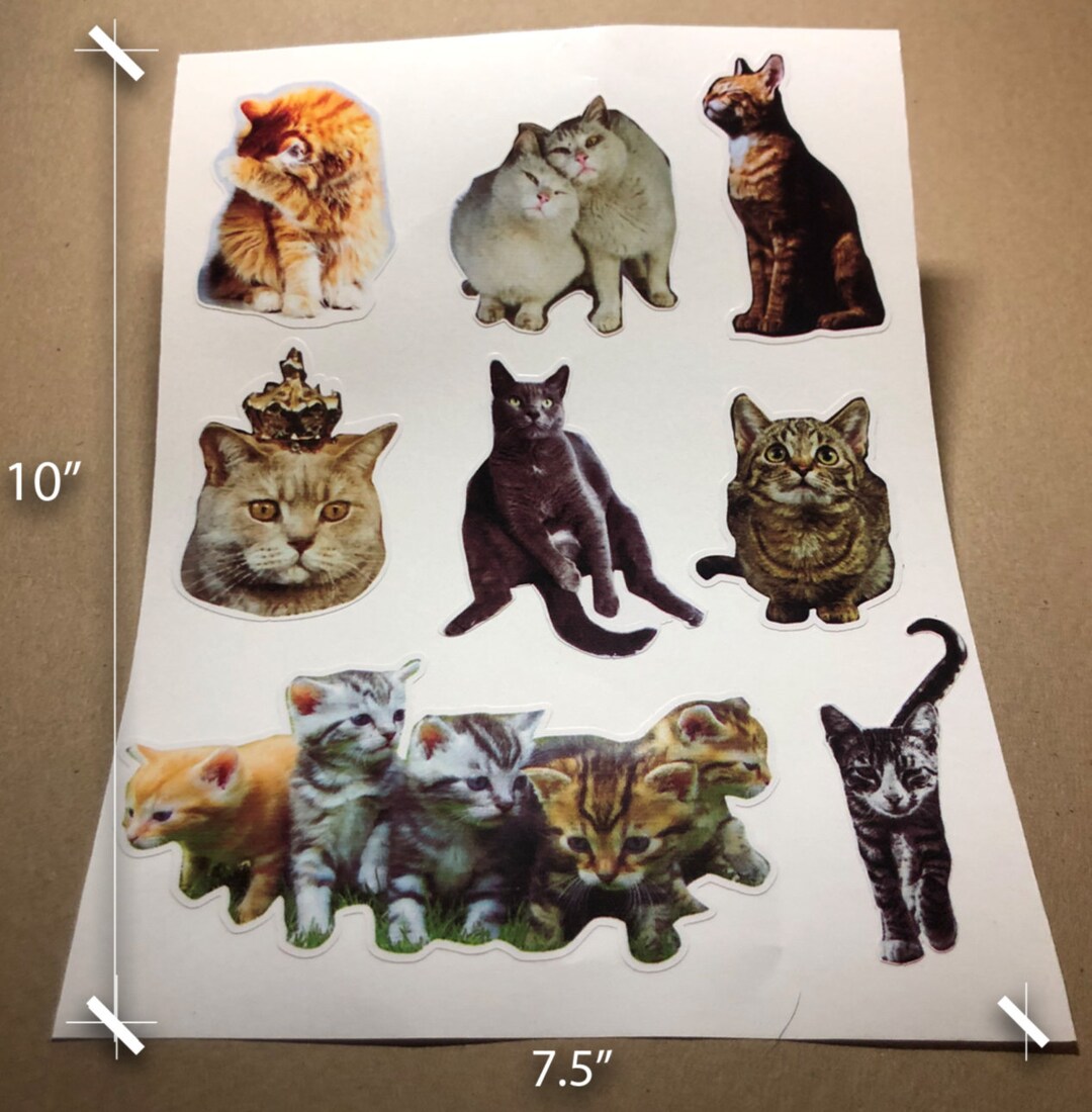 Cat Sticker Multi Pack - Etsy Österreich
