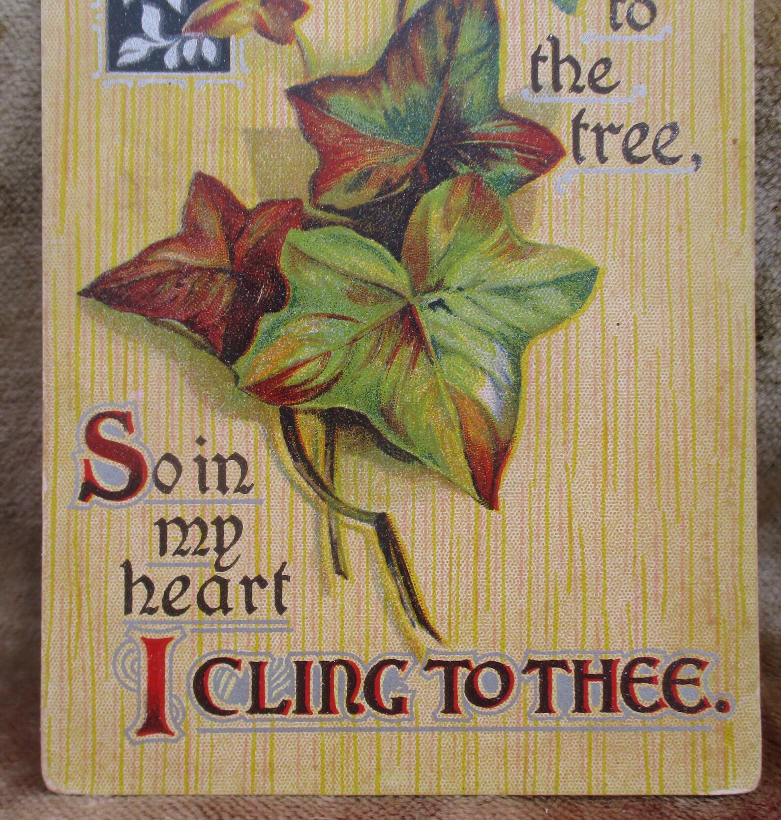 Close Clings the Ivy to the Tree...1910s Post Card With Verse, Used - Etsy