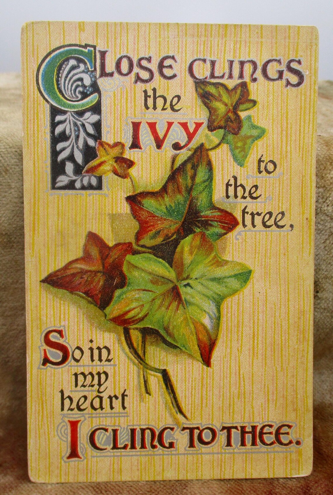 Close Clings the Ivy to the Tree...1910s Post Card With Verse, Used - Etsy