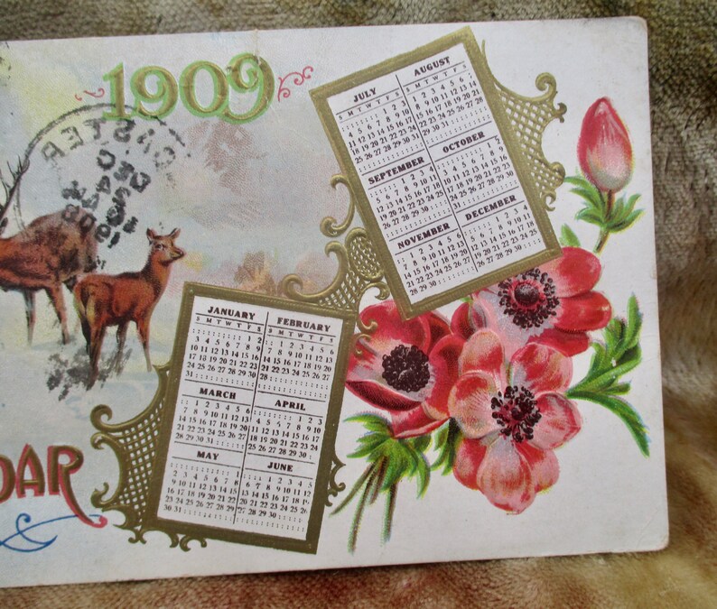 Antique 1909 New Year Postcard: Embossed Deer & Anemones - Etsy