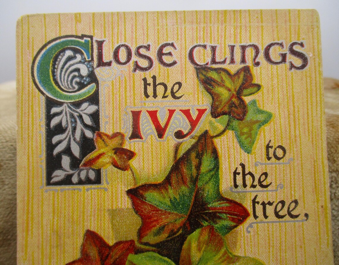 Close Clings the Ivy to the Tree...1910s Post Card With Verse, Used - Etsy