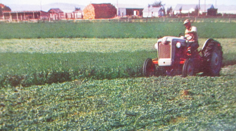 Columbia, Washington, 1950s Vintage Farm View, A Mike Roberts Color ...