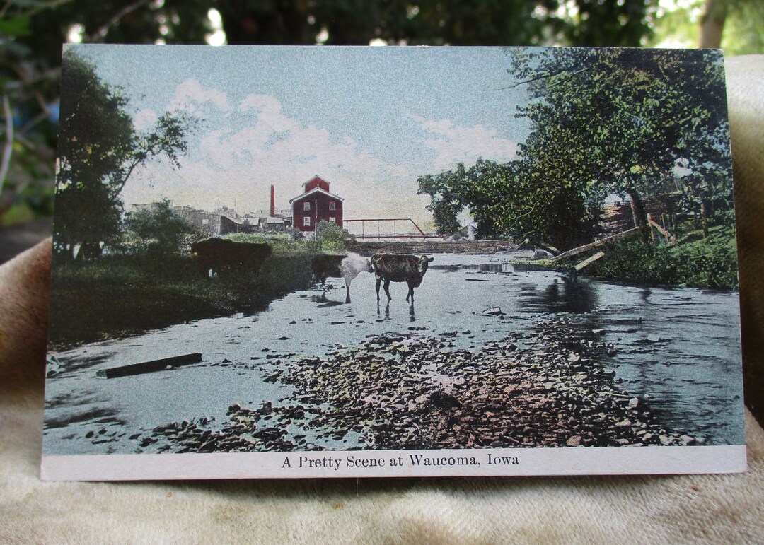 Waucoma, Iowa. A Pretty Scene. Antique Post Card. 1909. - Etsy