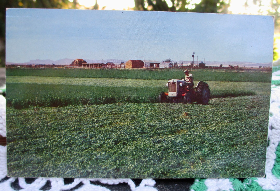 Columbia, Washington, 1950s Vintage Farm View, A Mike Roberts Color ...
