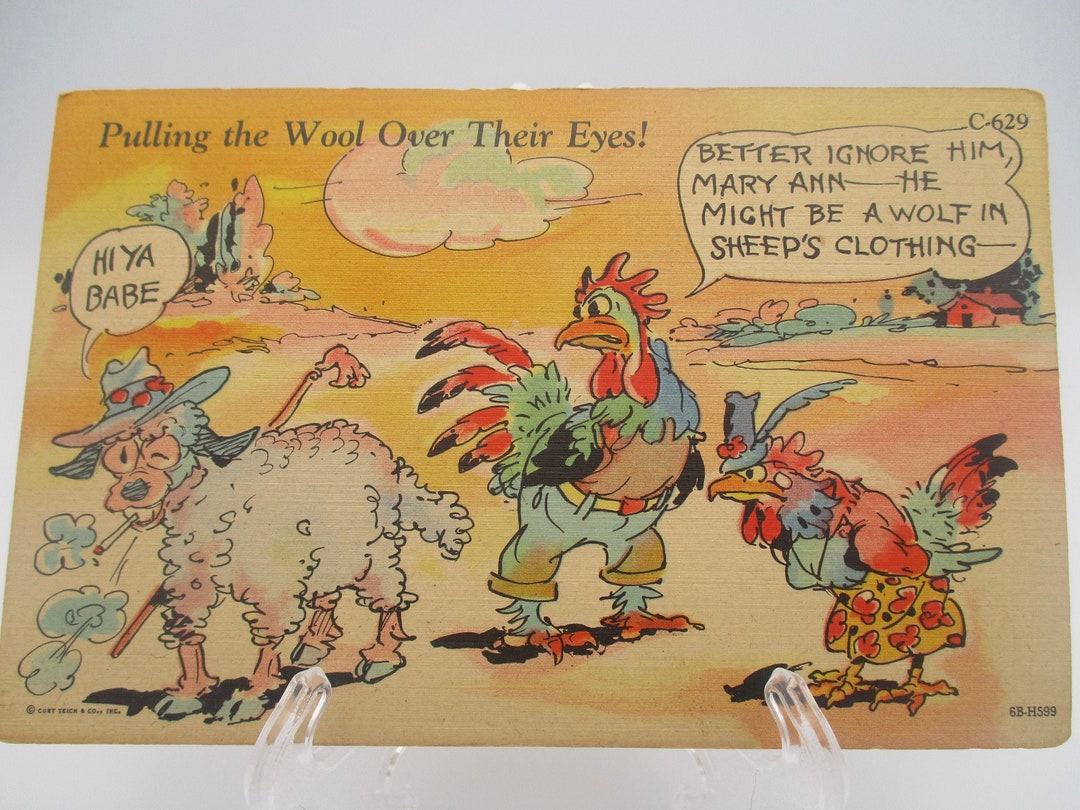 Pulling the Wool Over Their Eyes! 1940s Comic Post Card, Greetings From ...