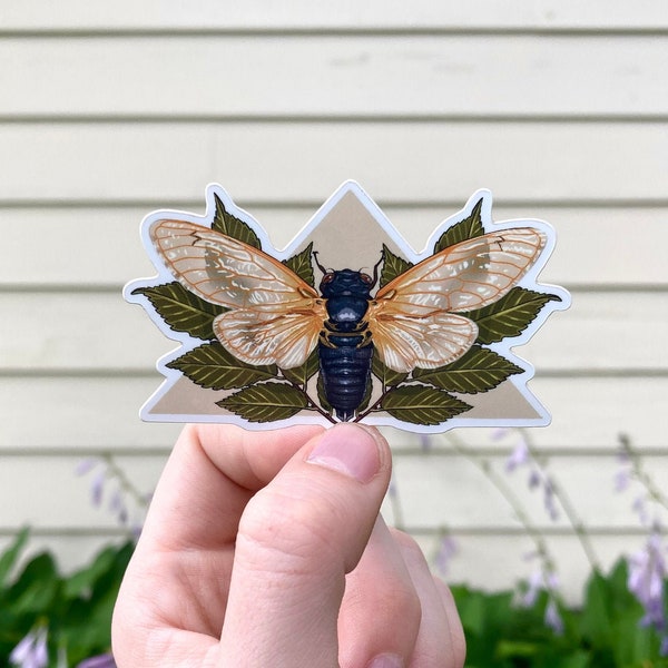 Cicada Art - Etsy