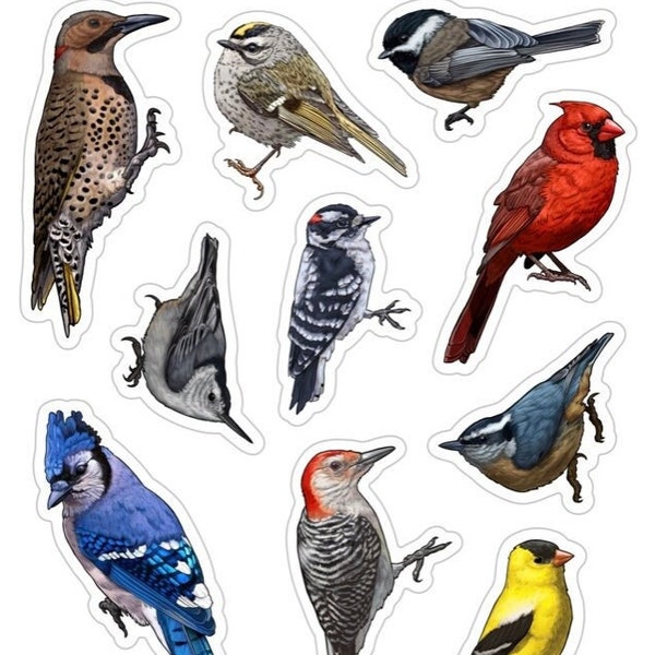 Bird Stickers - Etsy