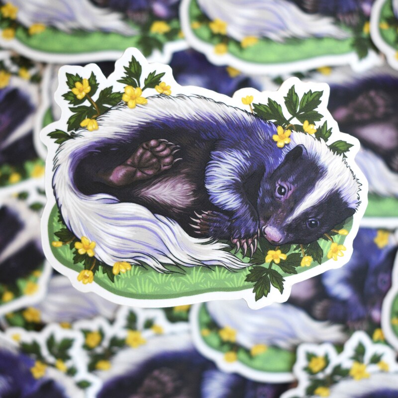 Skunk Sticker - Etsy