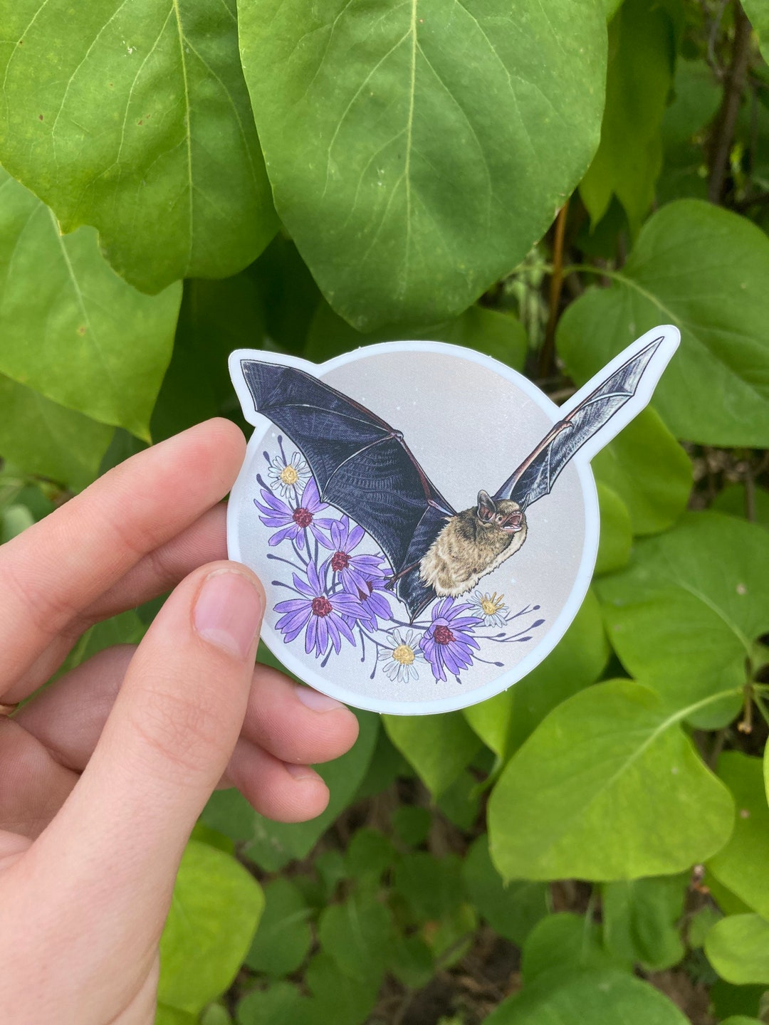 Indiana Bat Sticker - Etsy