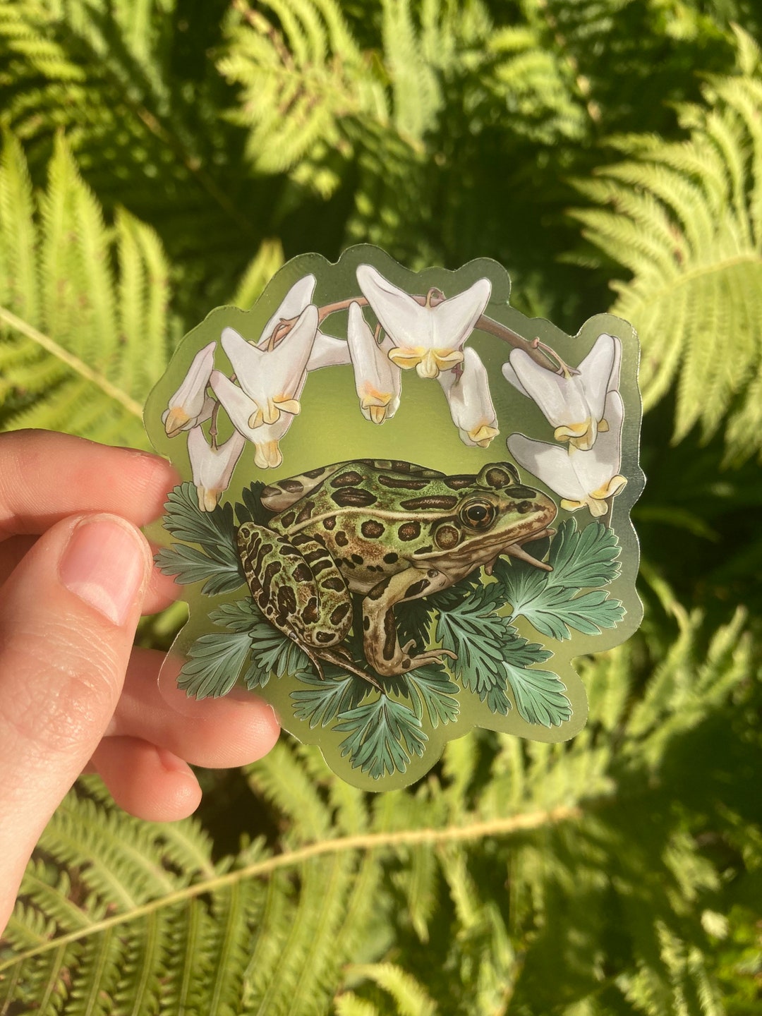 Northern Leopard Frog Sticker - Etsy