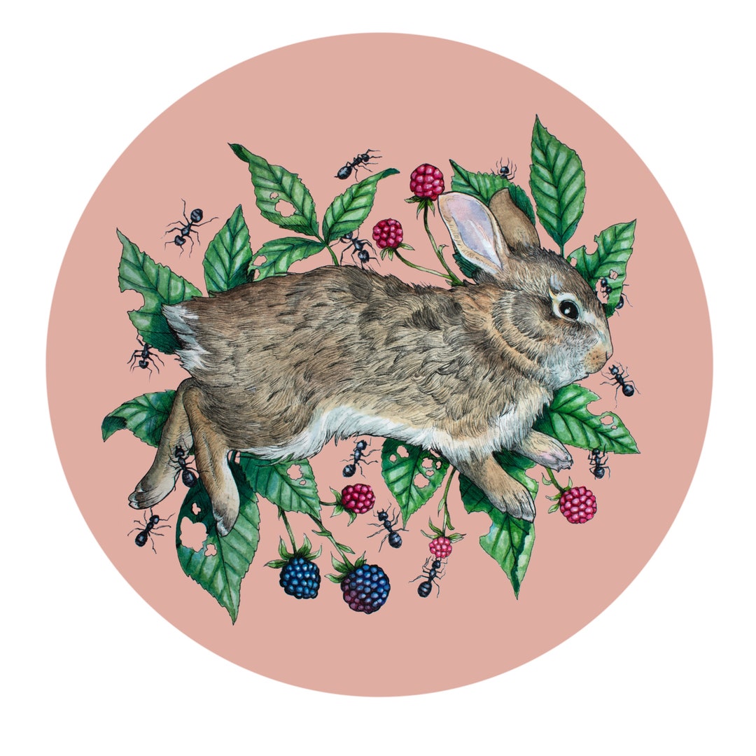 Rabbit and Raspberries Sticker - Etsy