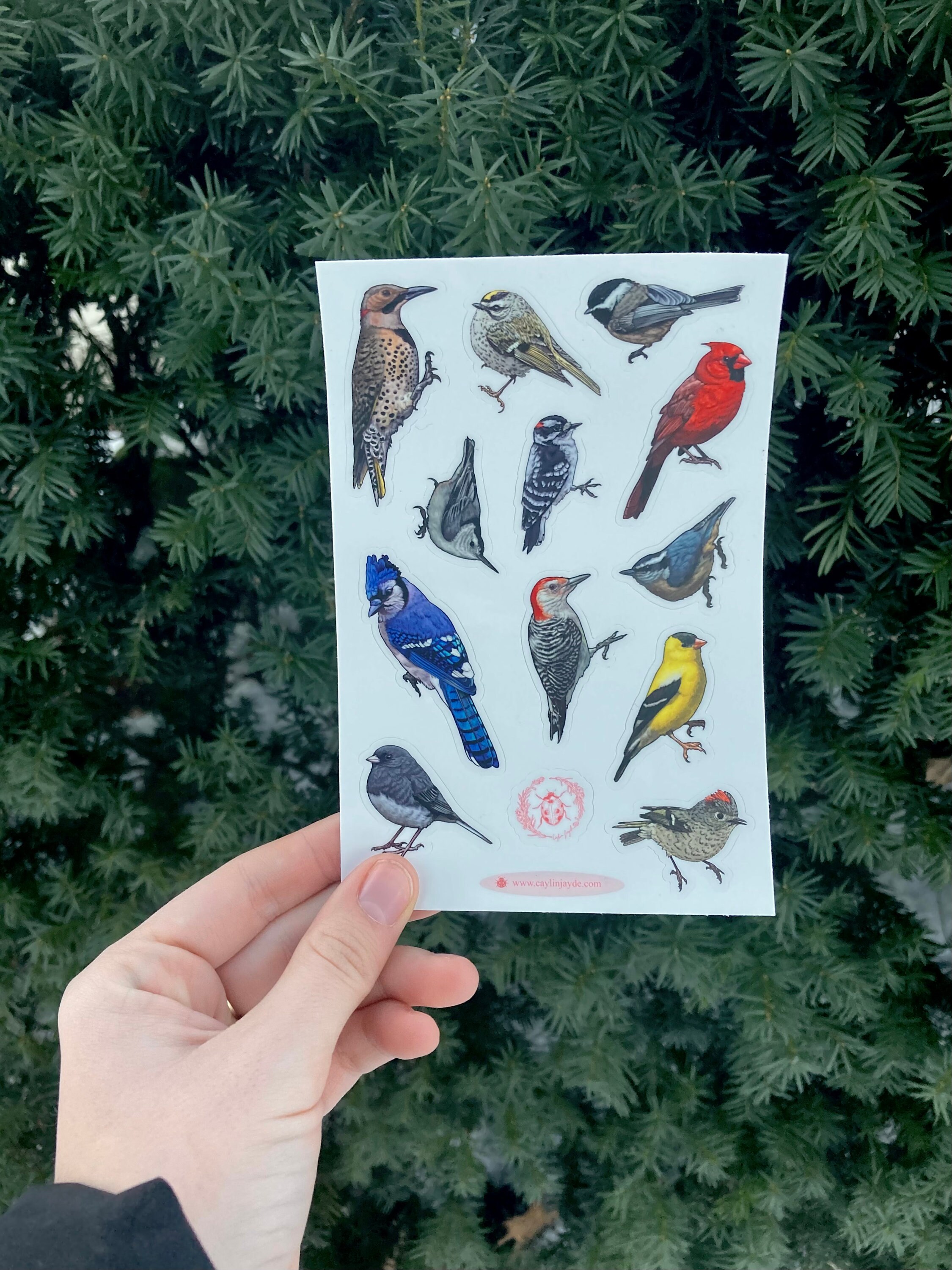 Bird Stickers - Etsy