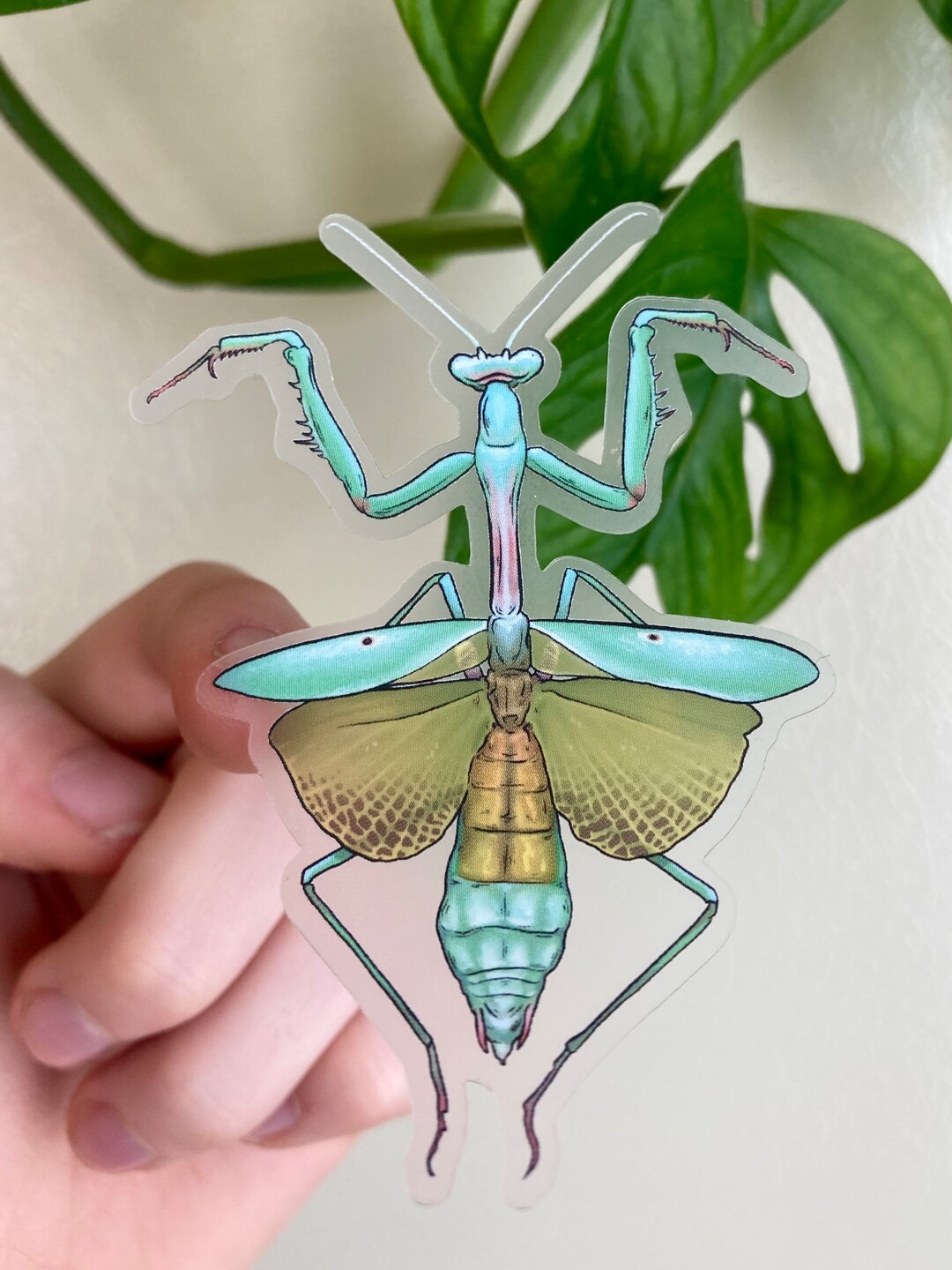 Carolina Mantis Sticker - Etsy